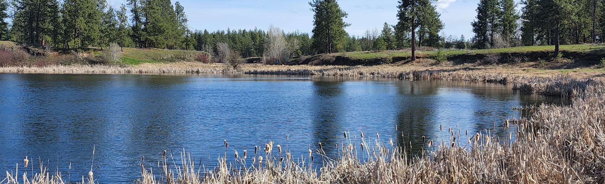 Cheney Wetlands Trail, Washington - 183 Reviews, Map | AllTrails