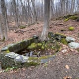 Trumbull Loop, Connecticut - 296 Reviews, Map | AllTrails