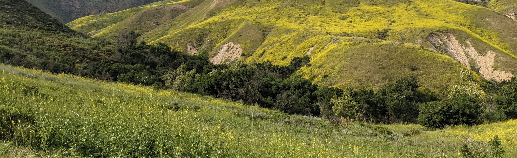 Escondido Falls Trail: 4642 Reviews, Map - California | AllTrails