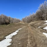 Spring Canyon Trail, Utah - 318 Reviews, Map | AllTrails