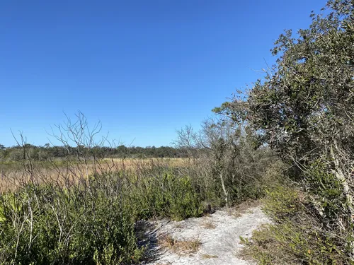 Best Hikes and Trails in Lake Wales Ridge State Forest | AllTrails