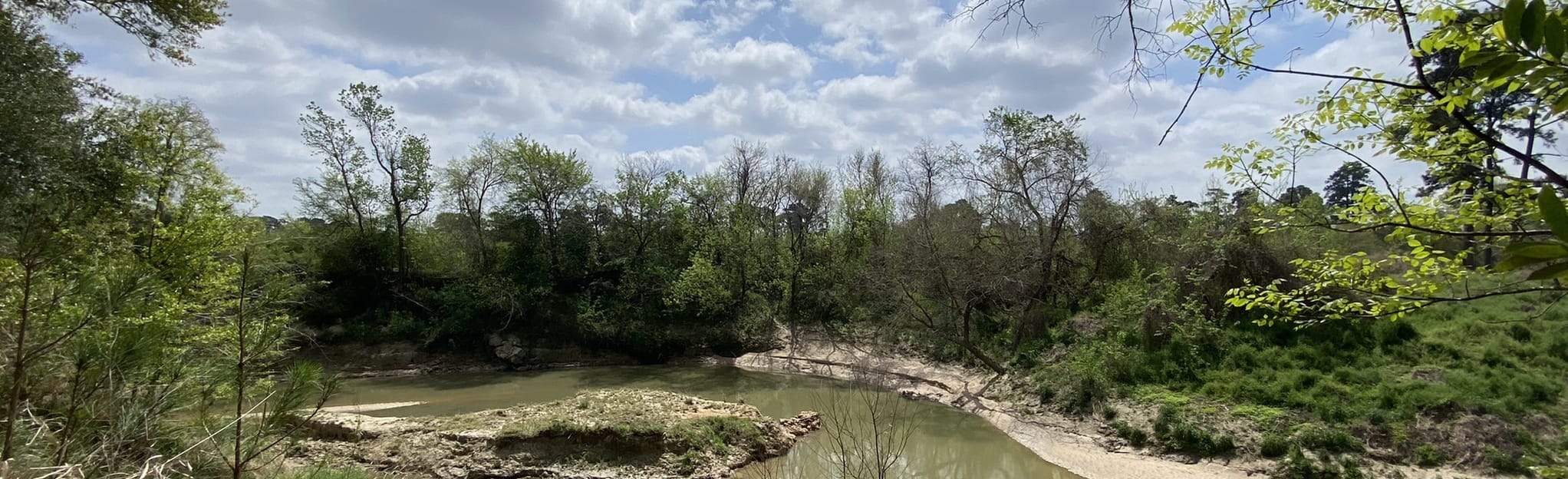 TC Jester Loop: 249 Reviews, Map - Texas | AllTrails