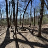 Duncan Ridge Trail, Georgia - 71 Reviews, Map | AllTrails