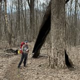 Duncan Ridge Trail, Georgia - 71 Reviews, Map | AllTrails