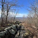 Duncan Ridge Trail, Georgia - 75 Reviews, Map | AllTrails