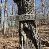Duncan Ridge Trail, Georgia - 71 Reviews, Map | AllTrails