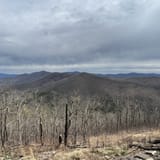 Duncan Ridge Trail, Georgia - 71 Reviews, Map | AllTrails