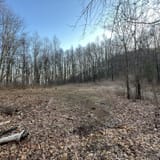 Duncan Ridge Trail, Georgia - 71 Reviews, Map | AllTrails