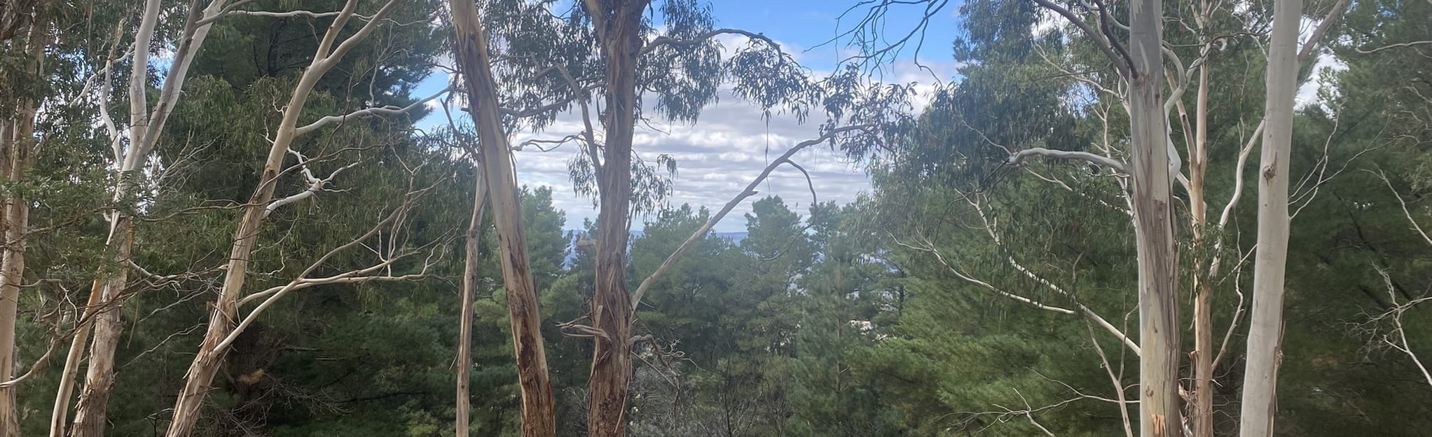Mount Franklin Loop, Victoria, Australia - 55 Reviews, Map | AllTrails