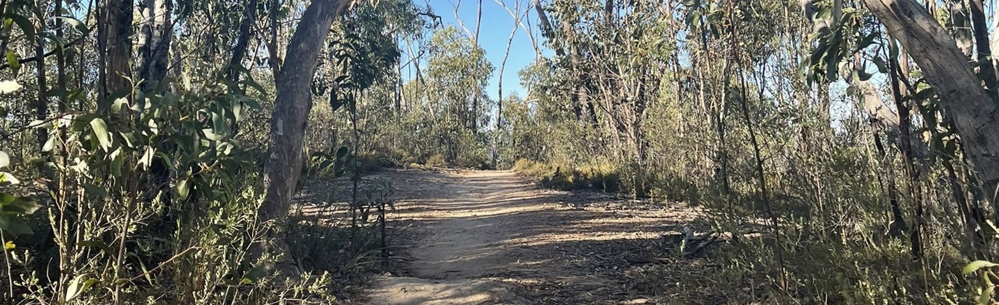Mount Crawford MTB Circuit: 3 Reviews, Map - South Australia, Australia ...