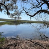 Cannon’s Point Preserve, Georgia - 126 Reviews, Map | AllTrails