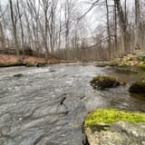 Trumbull Loop, Connecticut - 304 Reviews, Map | AllTrails