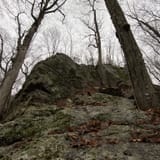 Trumbull Loop, Connecticut - 333 Reviews, Map | AllTrails