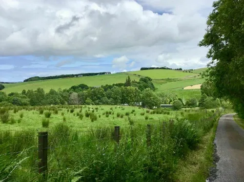 Best Dog Friendly Trails in Keith | AllTrails