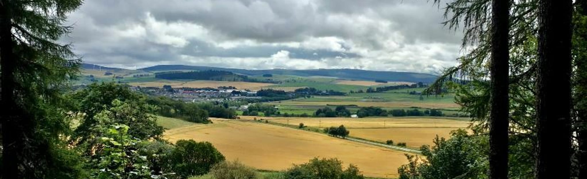 Bin Forest, Ferny Knowe, and Queen Tree Trail: 13 Reviews, Map ...
