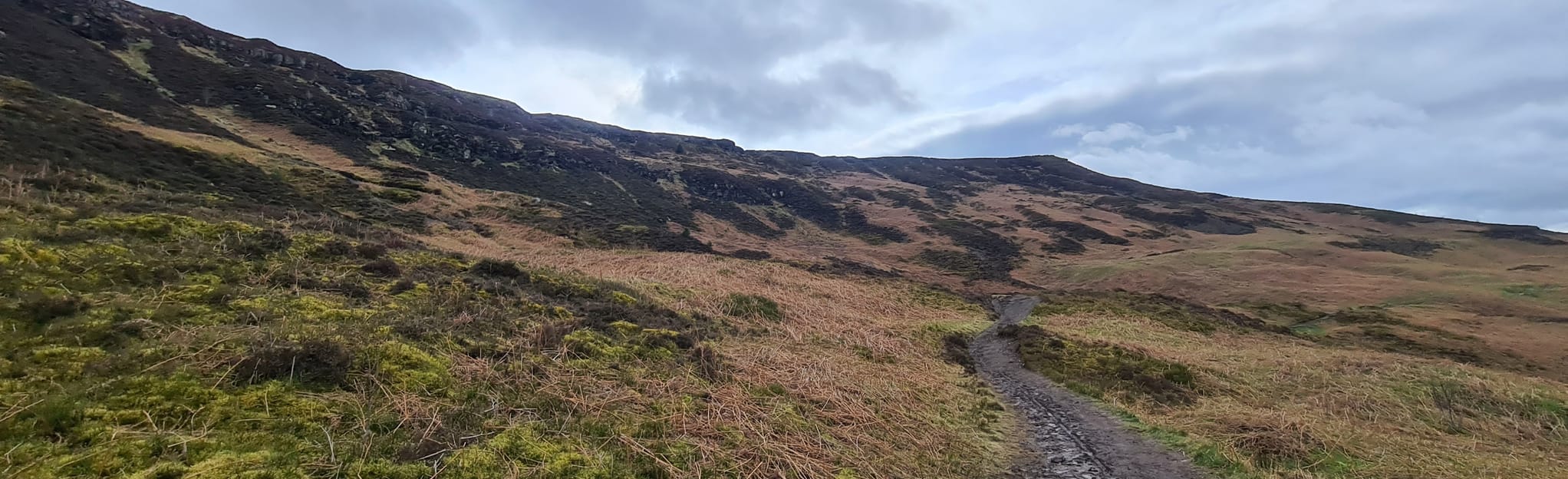 Lord Stones Walk, North Yorkshire, England - 339 Reviews, Map | AllTrails