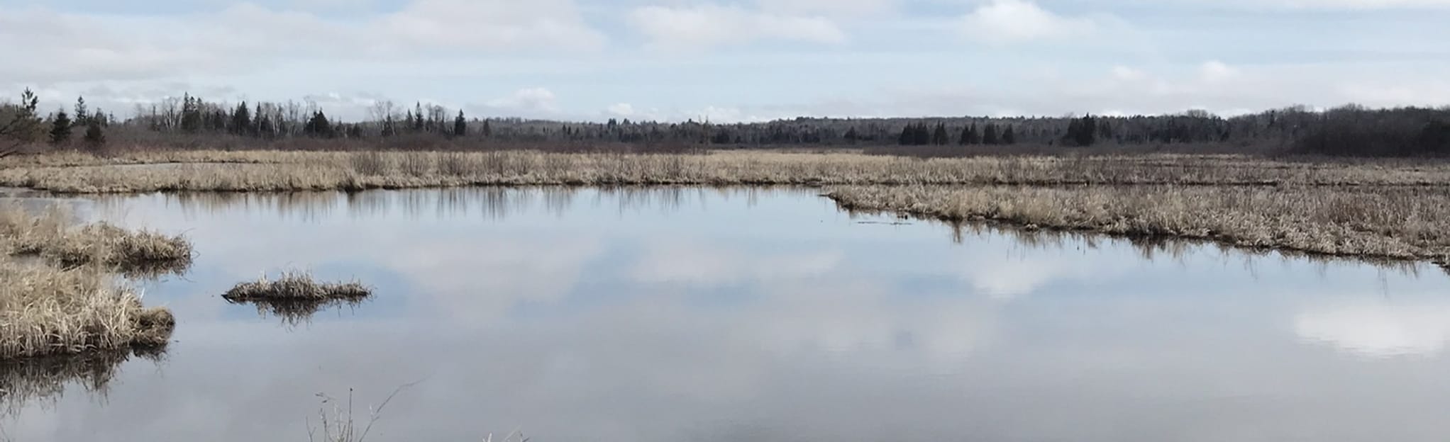 Nonquon River Paddle: Scugog Line 8 to Old Simcoe Road: 1 Reviews, Map ...