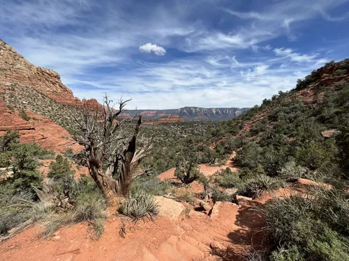 10 Best Easy Trails in Sedona | AllTrails