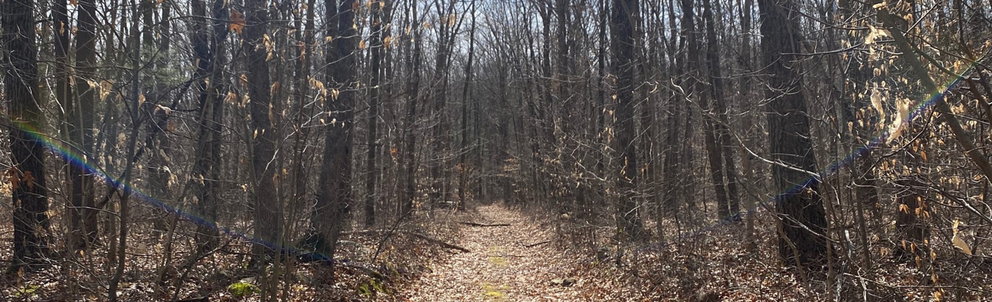 Dry Land Hill Parcel Green Trail Loop, Pennsylvania - 45 Reviews, Map ...