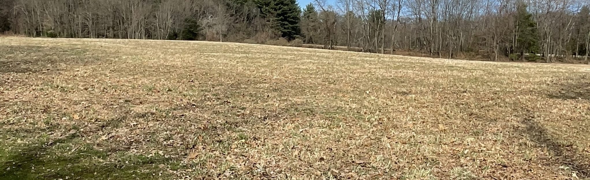 Nevers Road Park Loop, Connecticut - 340 Reviews, Map | AllTrails