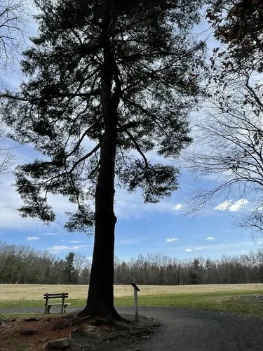 Best Hikes and Trails in Nevers Road Park | AllTrails