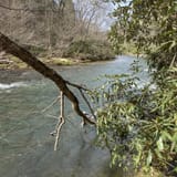 Cartecay River North Loop Trail, Georgia - 265 Reviews, Map | AllTrails
