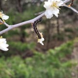 Copan Lake Trail, Oklahoma - 40 Reviews, Map | AllTrails