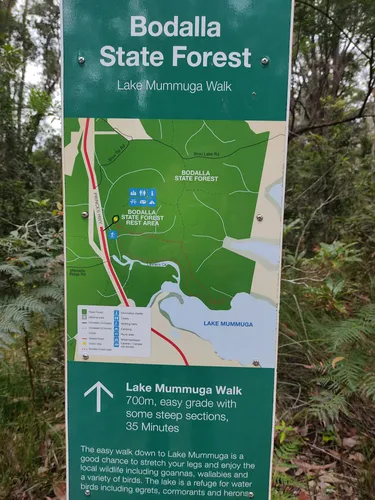 Bodalla State Forest: Die besten Routen zum Wandern | AllTrails