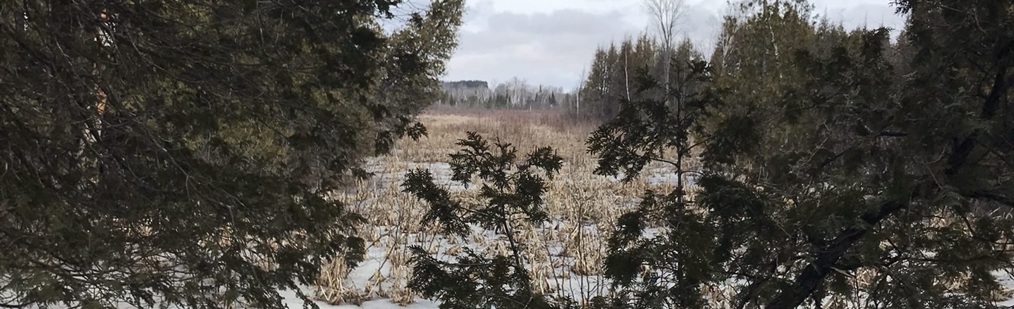 Old Simcoe SW Trail: 3 Reviews, Map - Ontario, Canada | AllTrails