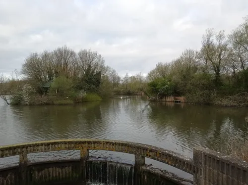 Best Hikes and Trails in Lydiard Park | AllTrails