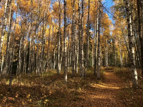 Best Hikes and Trails in Isberg Recreation Area | AllTrails