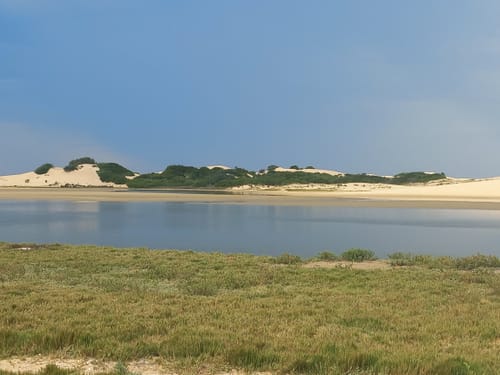 Best Hikes and Trails in Woody Cape Nature Reserve | AllTrails