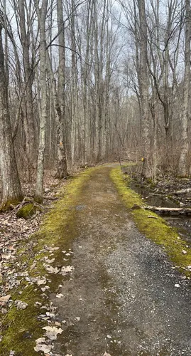 Best Walking Trails in Pine Bush | AllTrails