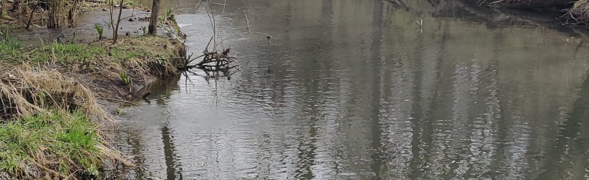 Inman Trail: 749 Reviews, Map - Ohio | AllTrails