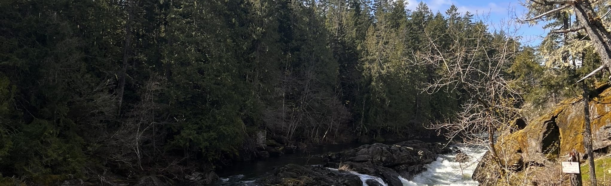 Pipeline Trail, British Columbia, Canada - 62 Reviews, Map | AllTrails