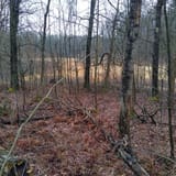 Birch Grove Connector Trail and North Country Trail Loop, Michigan ...