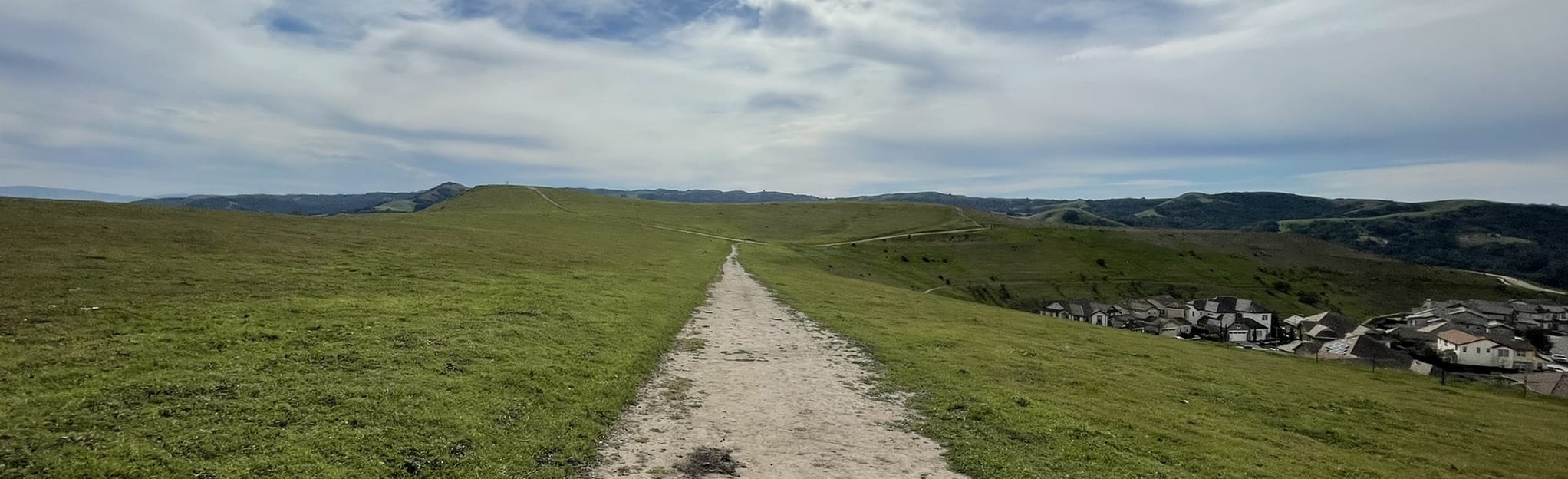 Donlan Loop Trail: 336 Reviews, Map - California | AllTrails