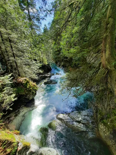 10 Best Trails and Hikes in British Columbia | AllTrails