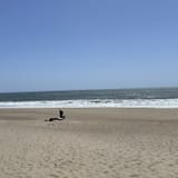 Limantour Beach Trail, California - 350 Reviews, Map | AllTrails