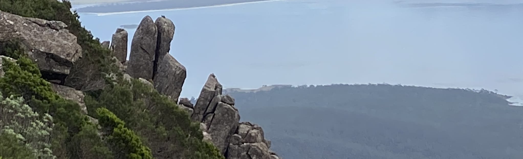 Mount Maria Track: 28 Reviews, Map - Tasmania, Australia | AllTrails