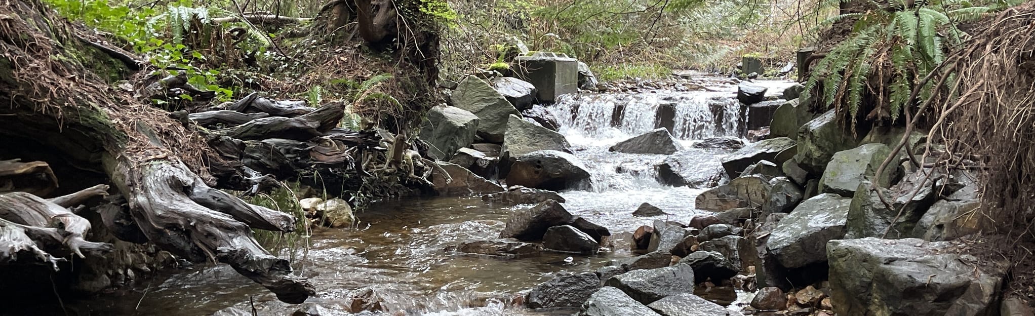 Eldon Park and MacKay Creek Park Trail, British Columbia, Canada - 48 ...