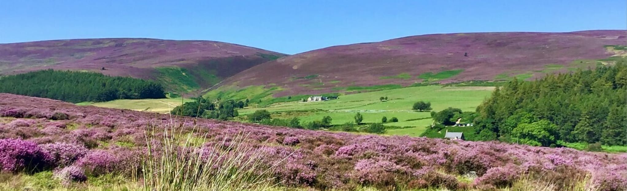 Forest of Birse Circular: 1 Reviews, Map - Aberdeenshire, Scotland ...