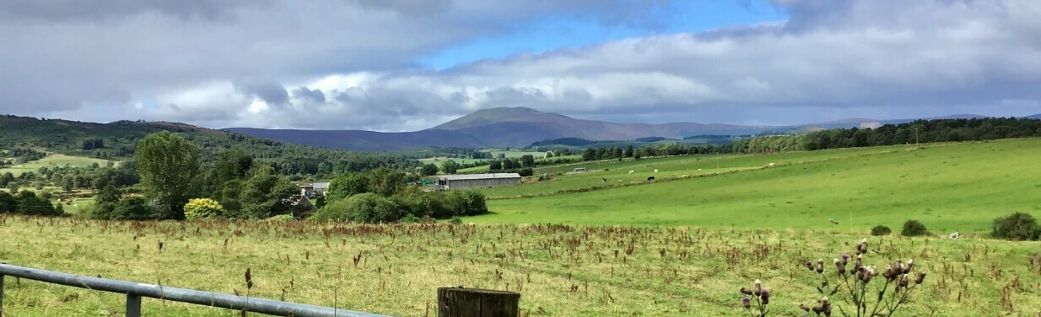 Coull, Tarland Way, and Gallow Hill Circular: 4 Reviews, Map ...