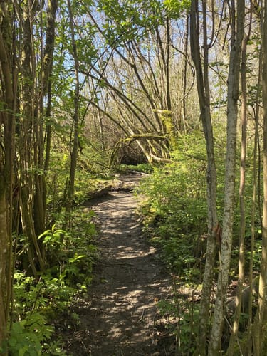 Best Hikes and Trails in Al Borlin Park | AllTrails