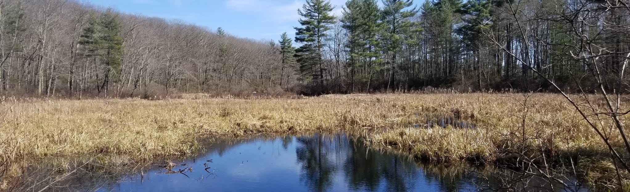 Midstate Trail: Ash St to Tafts Corner, Massachusetts - 47 Reviews, Map ...