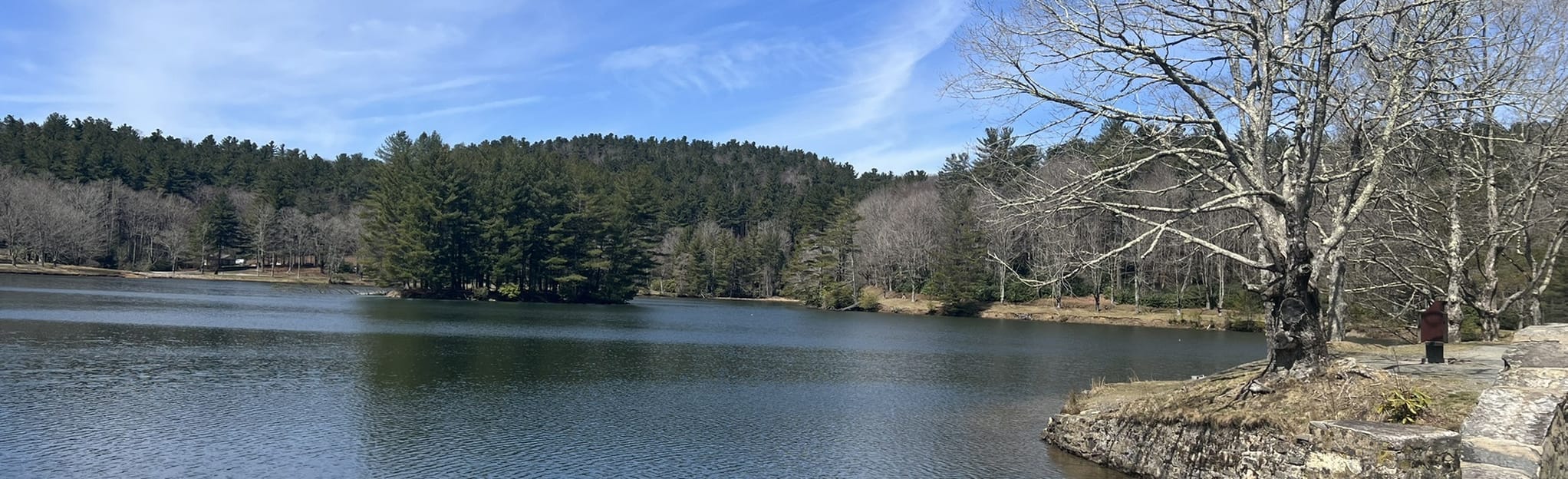 Bass Lake and The Maze From Evergreen Drive - North Carolina | AllTrails