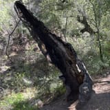 Tenaja Canyon via Tenaja Trail, California - 181 Reviews, Map | AllTrails