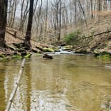 Trout Run Trail, Pennsylvania - 272 Reviews, Map | AllTrails
