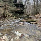 Trout Run Trail, Pennsylvania - 272 Reviews, Map | AllTrails