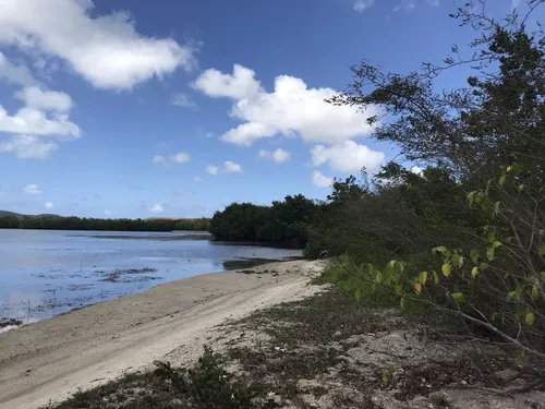 Best Beach Trails in Saint Mary | AllTrails